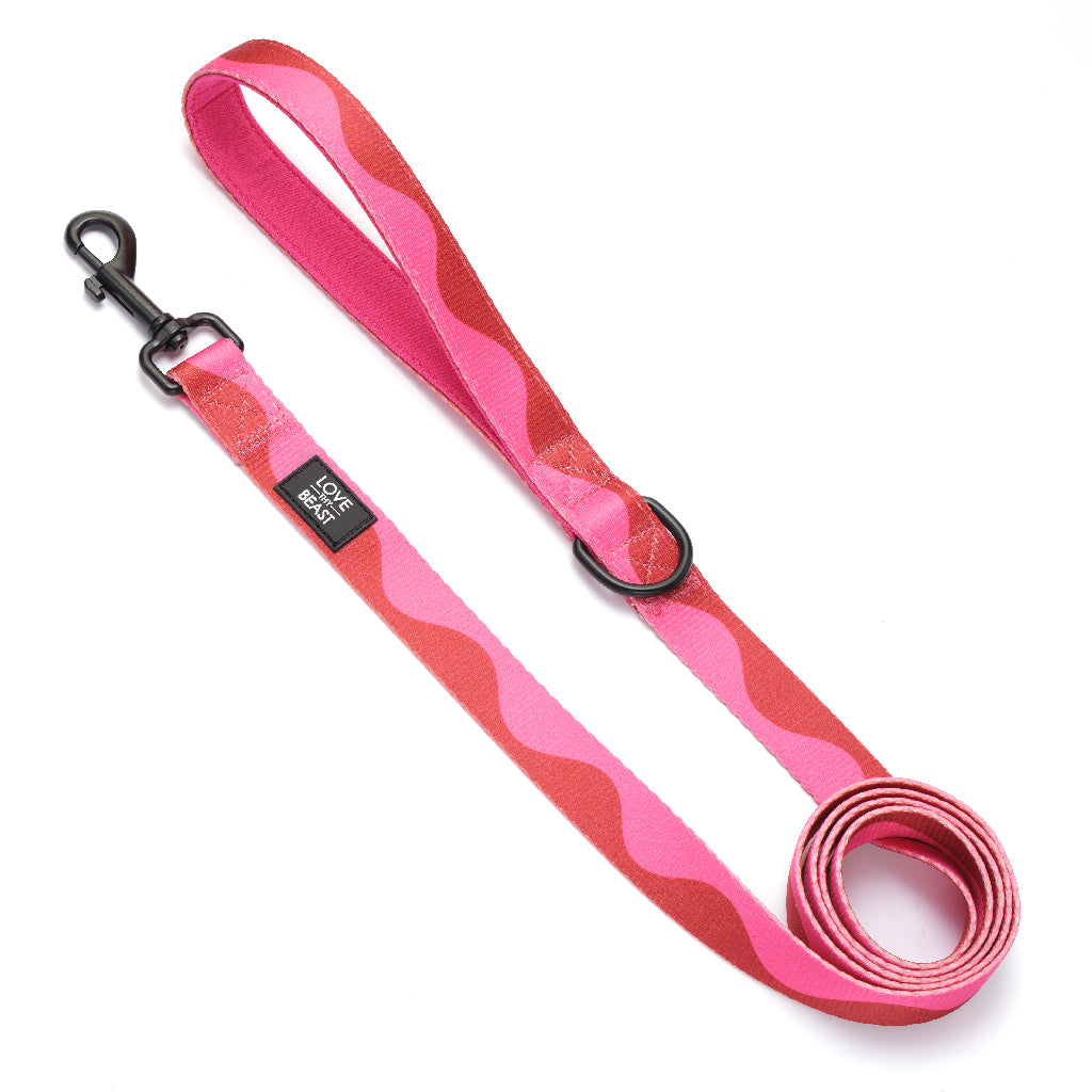 Loop Leash - Pink – LoveThyBeast