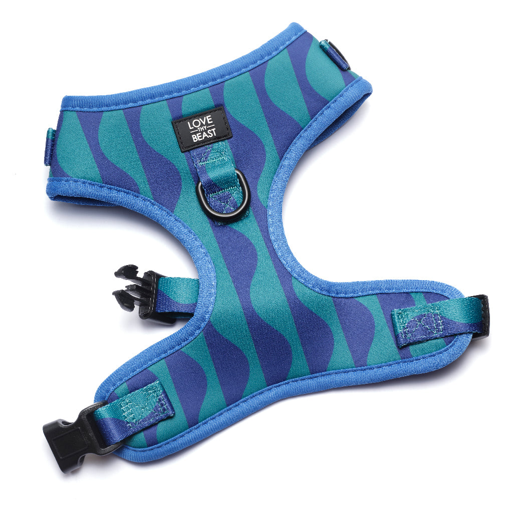 Loop Harness - Blue – LoveThyBeast