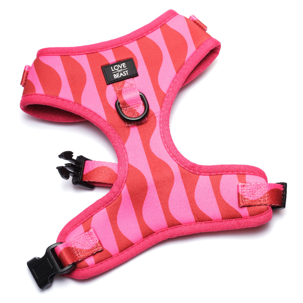 Loop Harness - Pink – LoveThyBeast