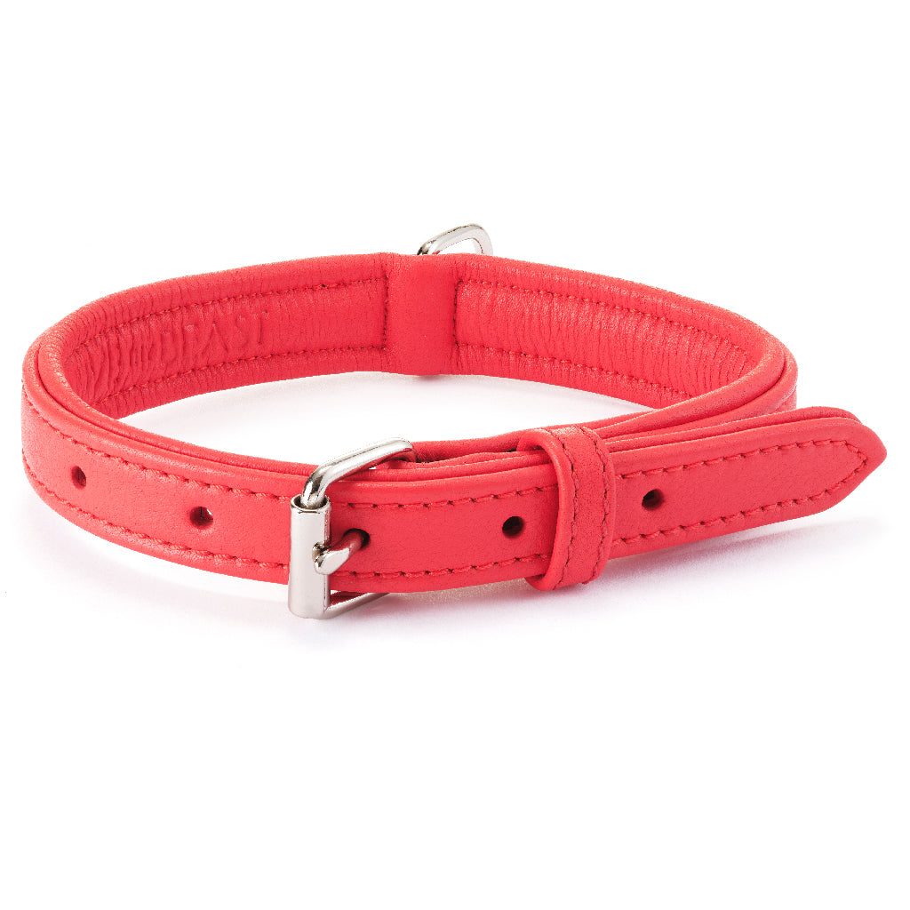 Red Leather Collar – LoveThyBeast